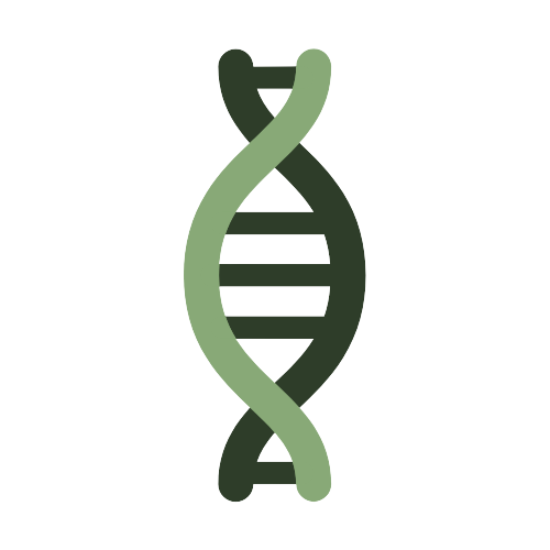 Dr. Milad Mansoori | DNA Diet